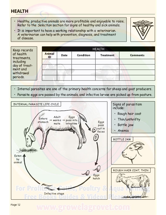 A Picture Guide To Sheep & Goat Production