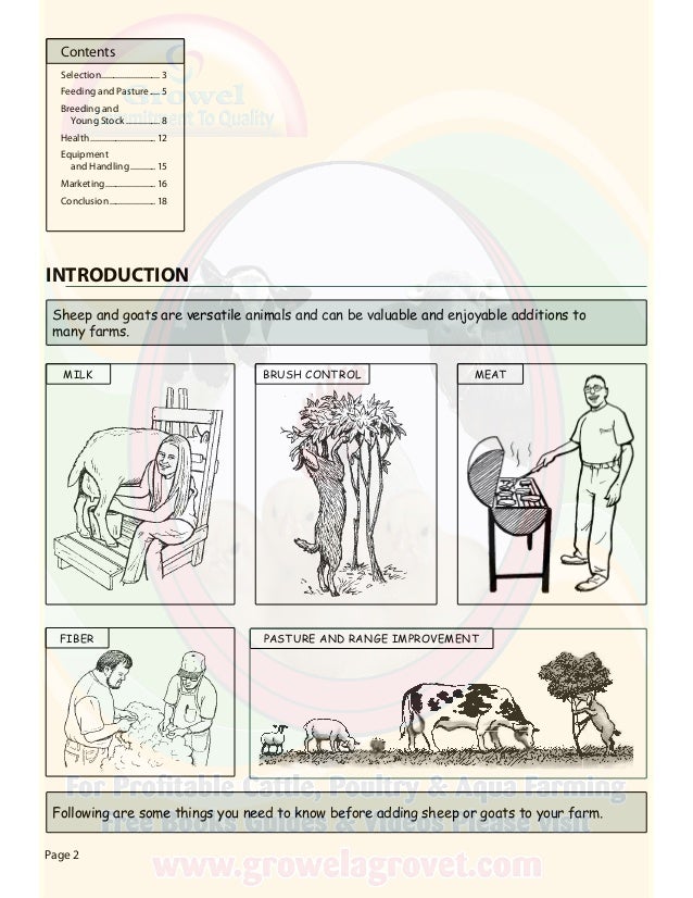 Equipment Used In Sheep And Goat Production at Jeanette Novack blog