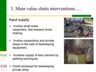 Apiculture value chain development based on experiences of IPMS and ...