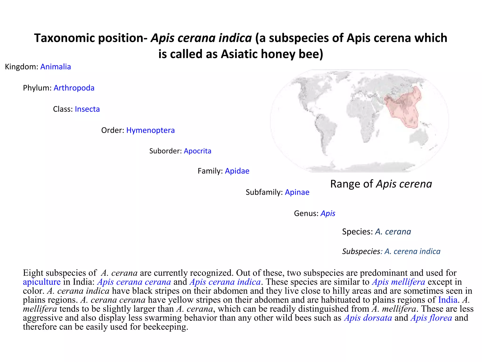 honey bees in India | PPT