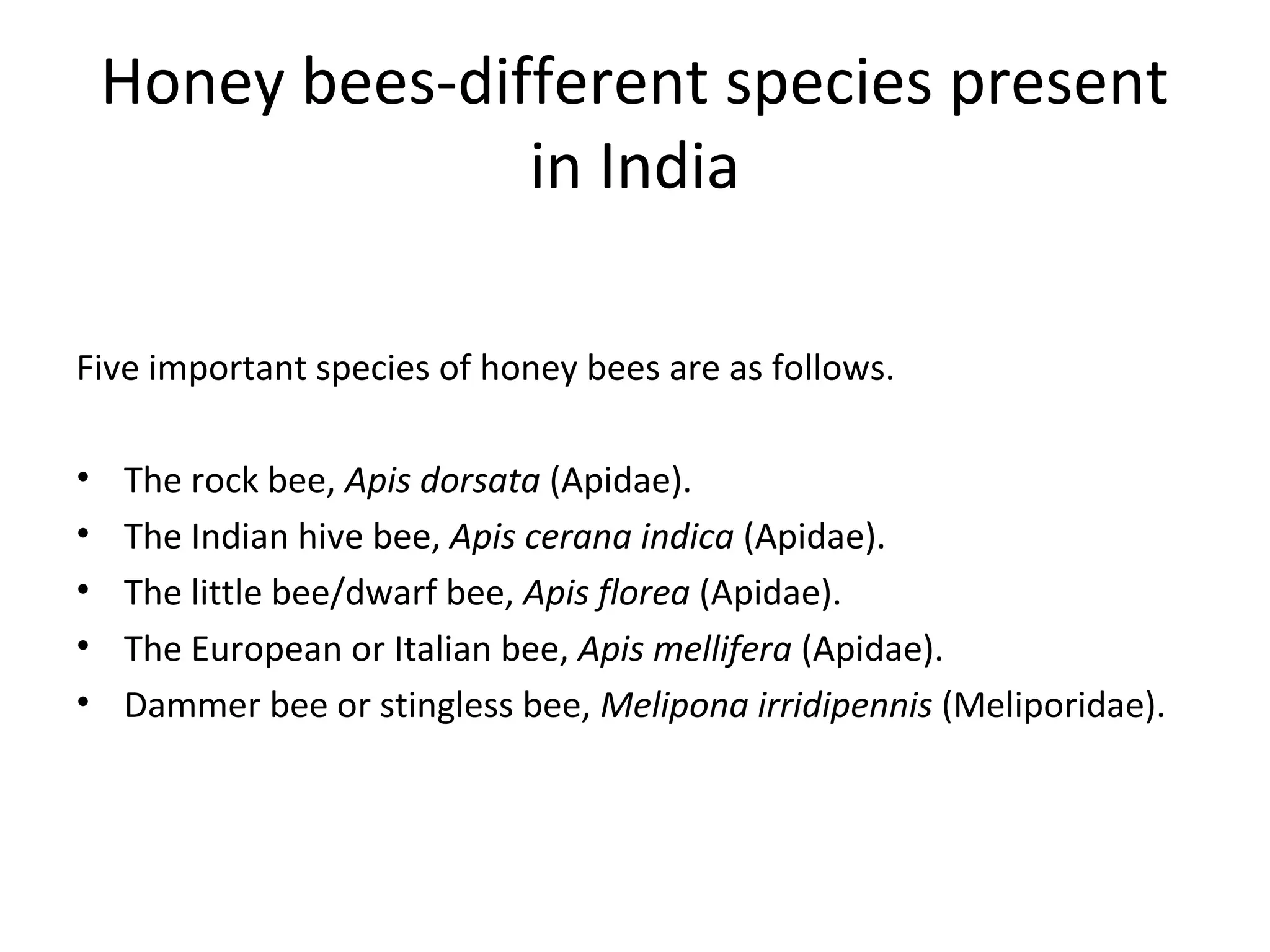 honey bees in India | PPT