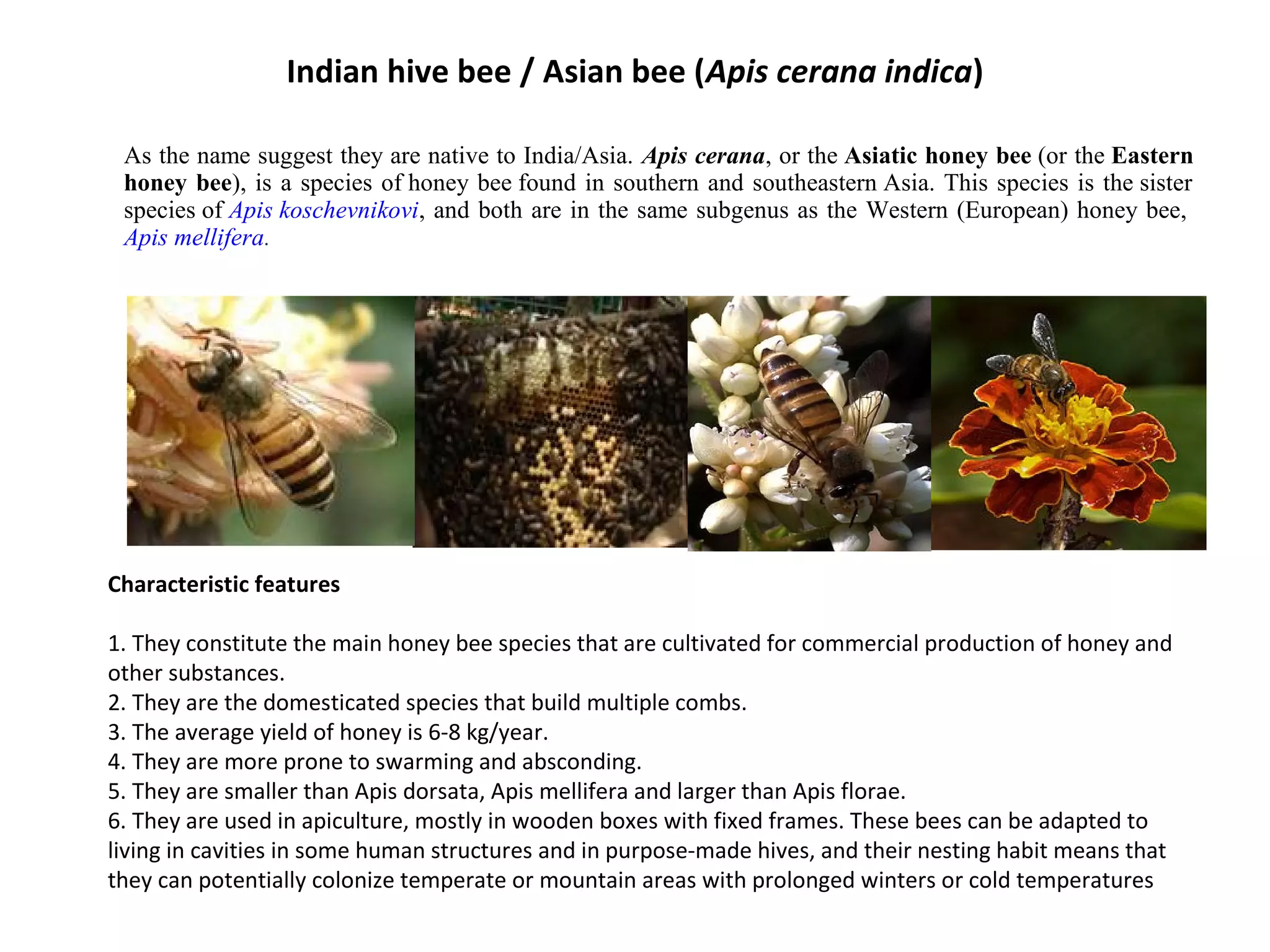 honey bees in India | PPT