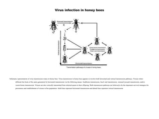honey bees in India | PPT