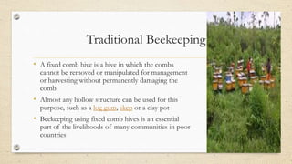 Apiculture | PPTX