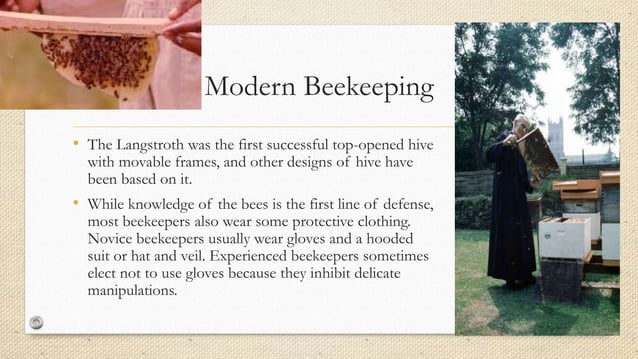 Apiculture | PPTX | Beekeeping | Hobbies & Interests