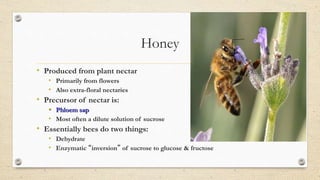 Apiculture | PPTX