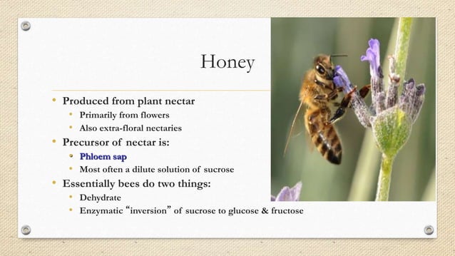 Apiculture | PPTX | Beekeeping | Hobbies & Interests