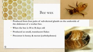 Apiculture | PPTX