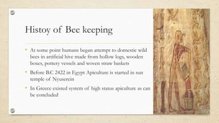 Apiculture | PPTX