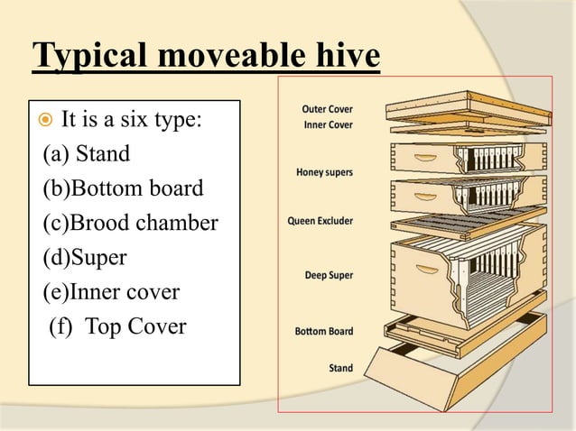 Apiculture: introduction, species types and different methods of ...