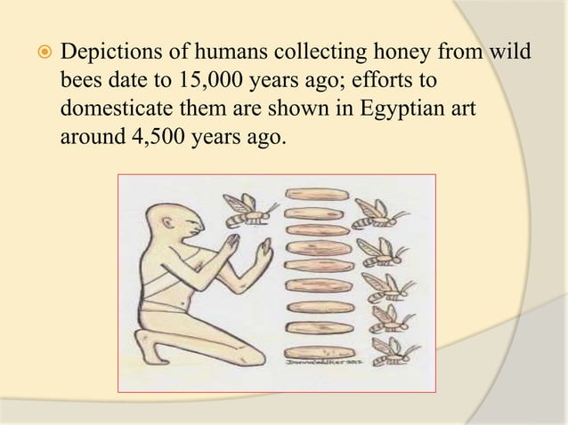 Apiculture: introduction, species types and different methods of ...