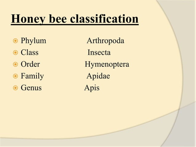 Apiculture: introduction, species types and different methods of ...