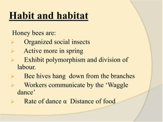 Apiculture: introduction, species types and different methods of ...