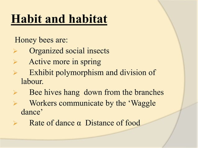 Apiculture: introduction, species types and different methods of ...