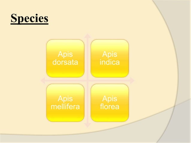 Apiculture: introduction, species types and different methods of ...