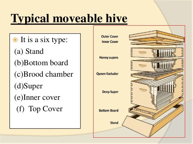 Apiculture: introduction, species types and different methods of rear…