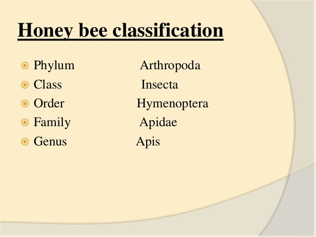 Apiculture: introduction, species types and different methods of rear…