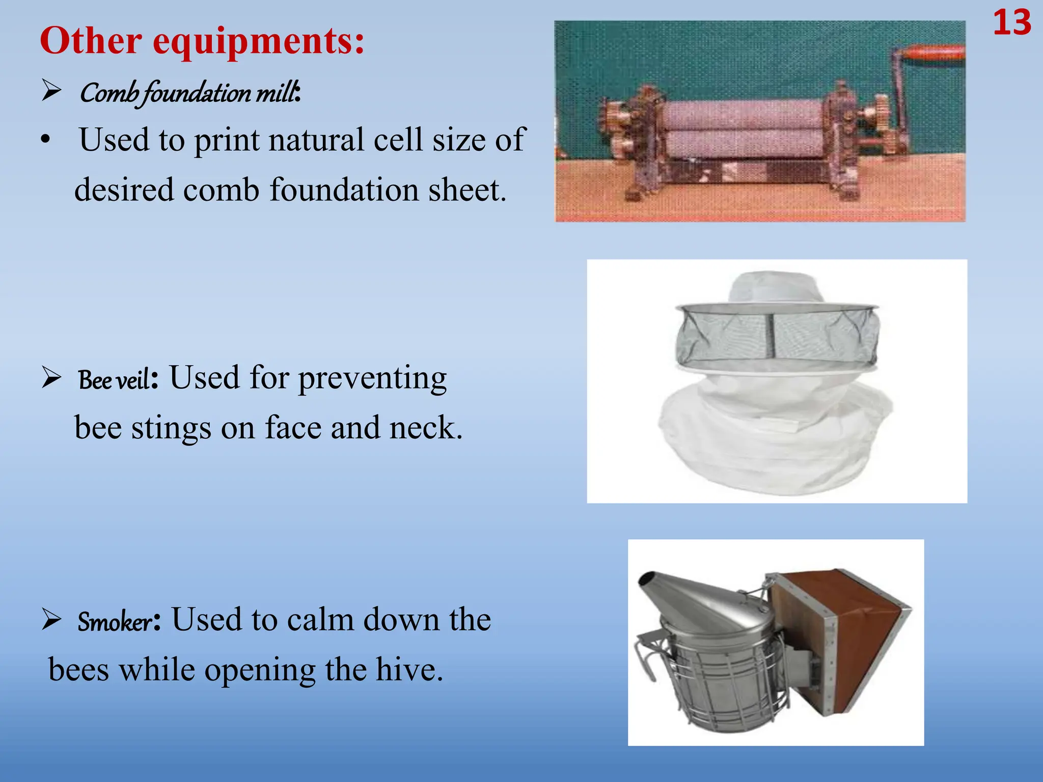 apiculture and its advantages and disadvantages | PDF