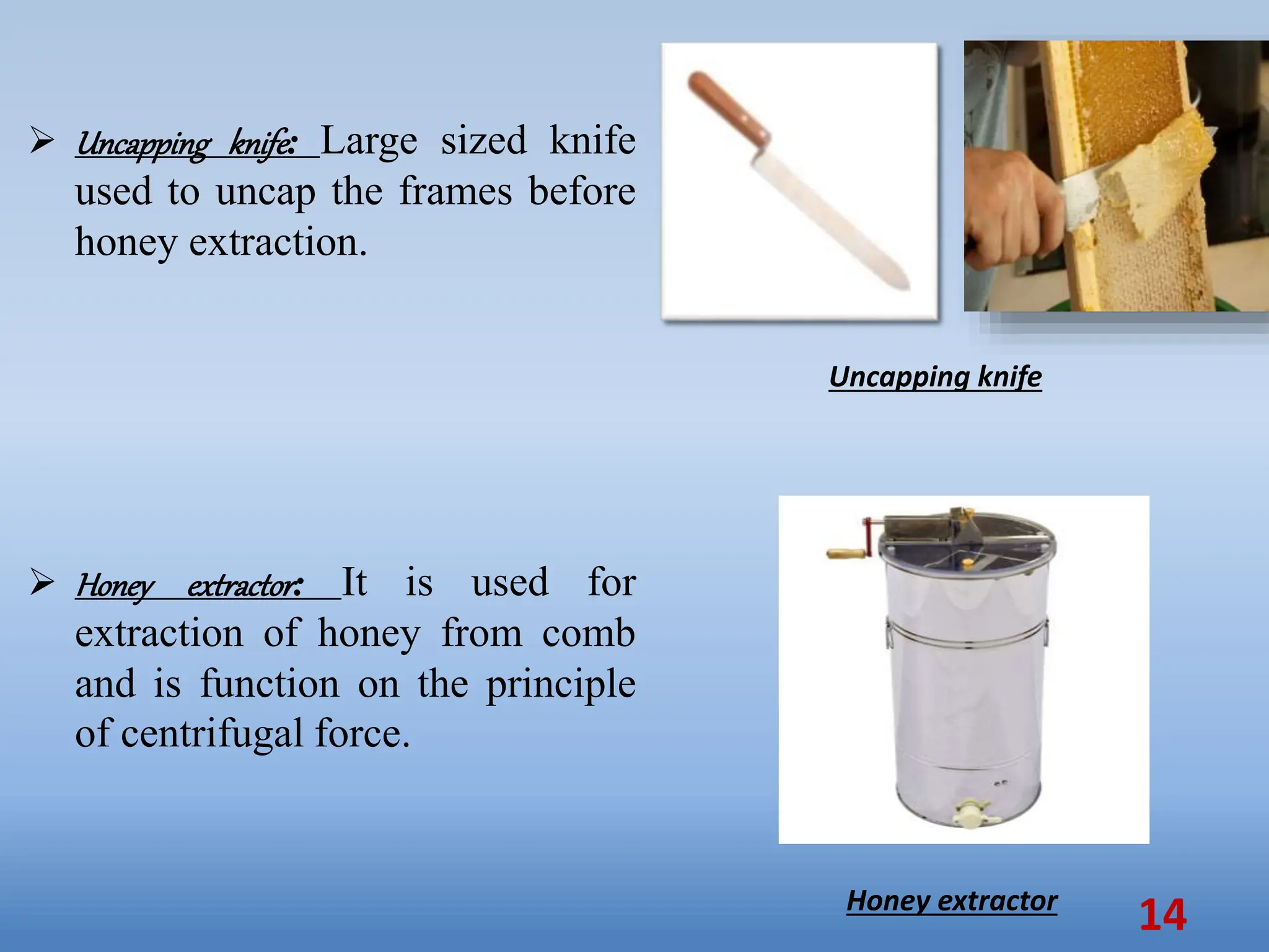 apiculture and its advantages and disadvantages | PDF