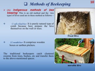 apiculture and its advantages and disadvantages | PDF