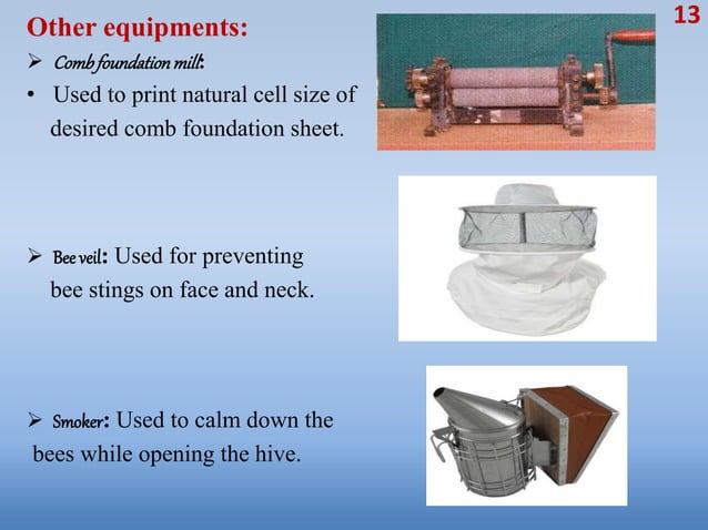 apiculture and its advantages and disadvantages | PDF | Beekeeping | Hobbies & Interests