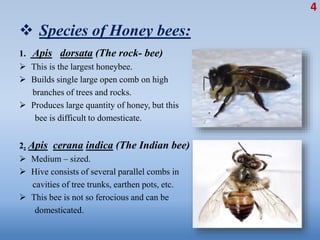 apiculture and its advantages and disadvantages | PDF
