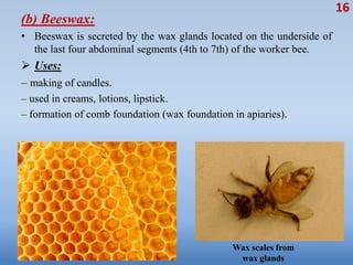 apiculture and its advantages and development | PDF