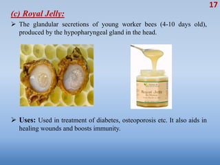 apiculture and its advantages and development | PDF