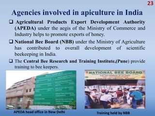 apiculture and its advantages and development | PDF