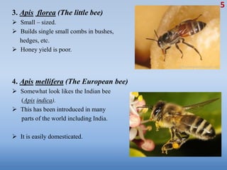 apiculture and its advantages and development | PDF