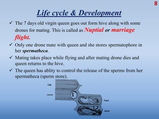 apiculture and its advantages and development | PDF