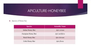Apiculture | PPT