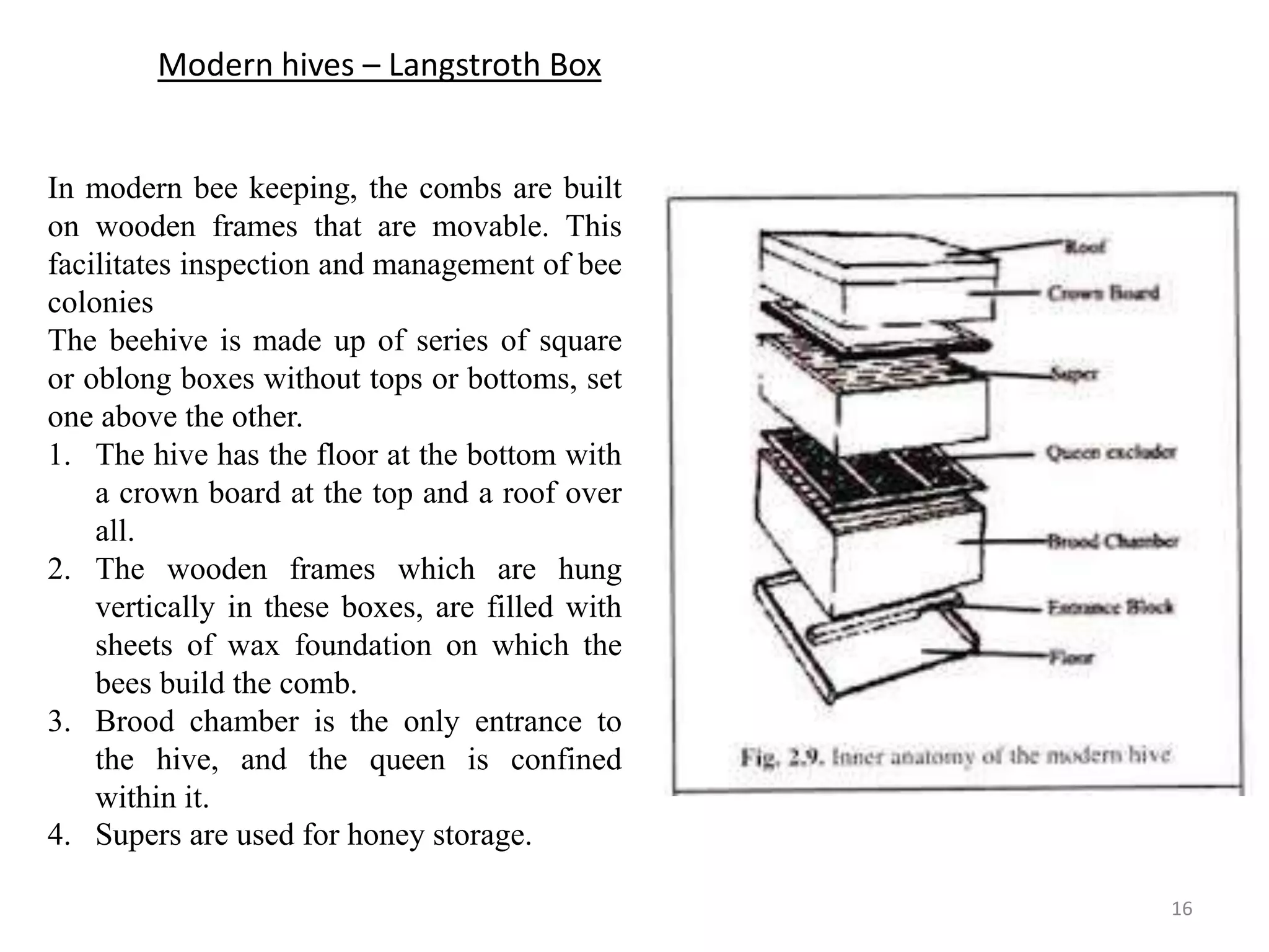 Apiculture | PPTX