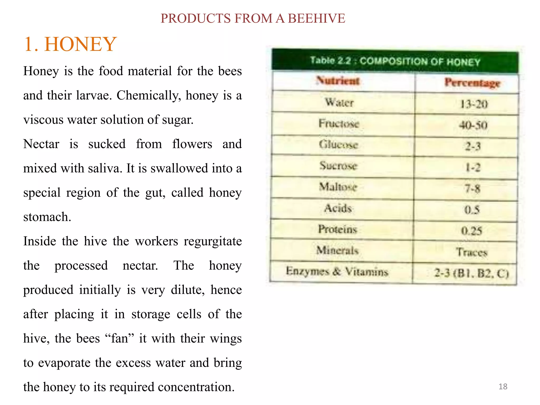 Apiculture | PPTX