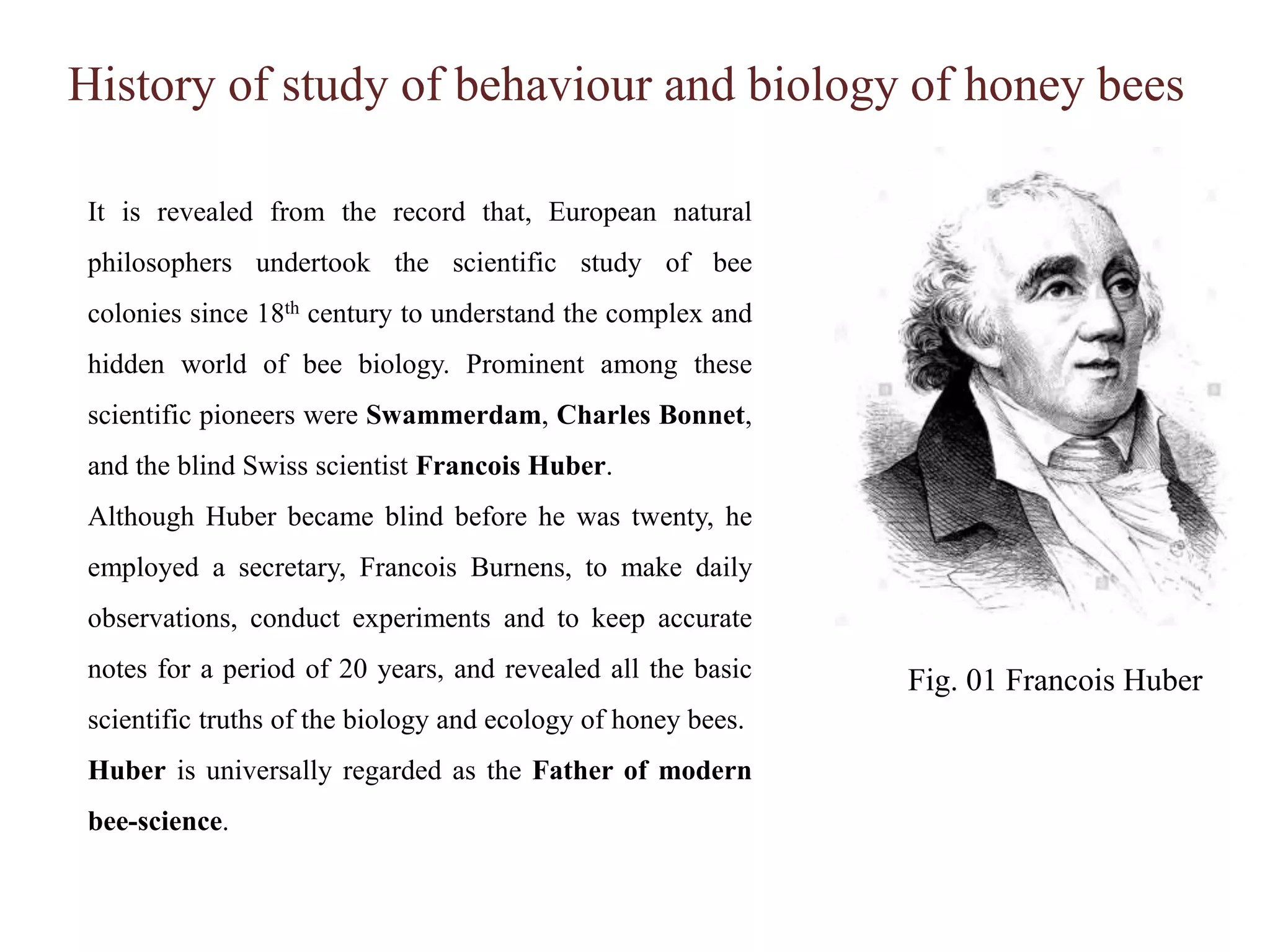 Apiculture | PPTX