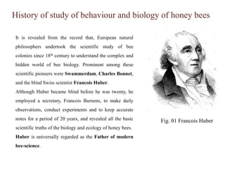 Apiculture | PPTX