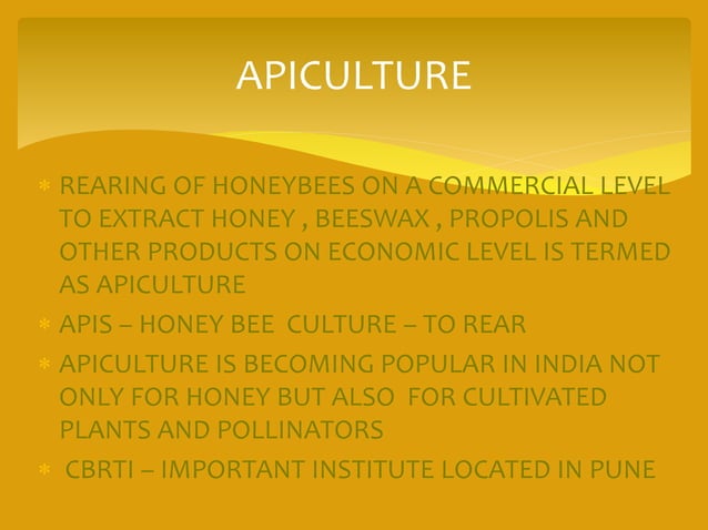 Apiculture | PPTX
