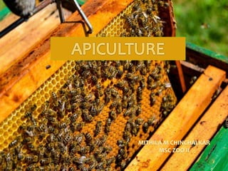 Apiculture | PPT