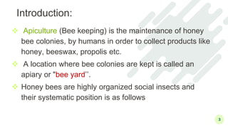Apiculture | PPTX