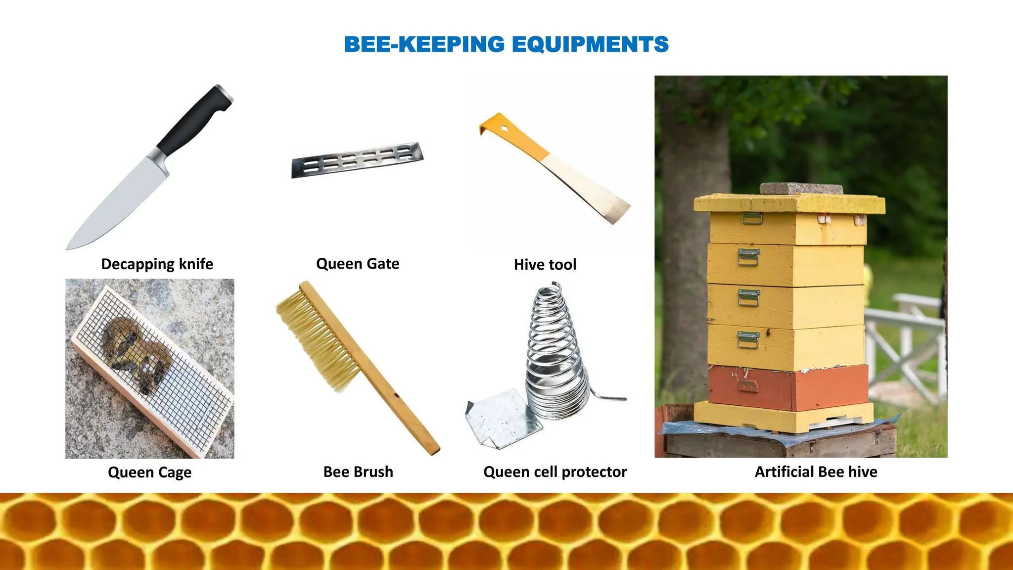 Introduction to Honeybees and Apiculture | PDF