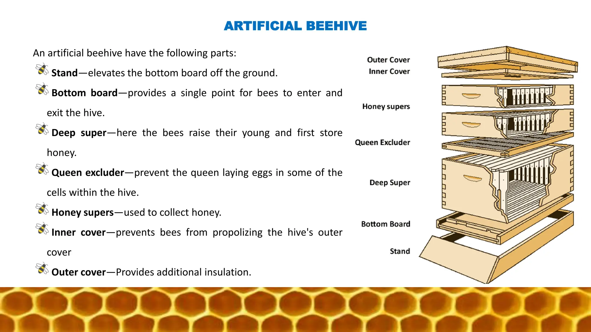 Introduction to Honeybees and Apiculture | PDF