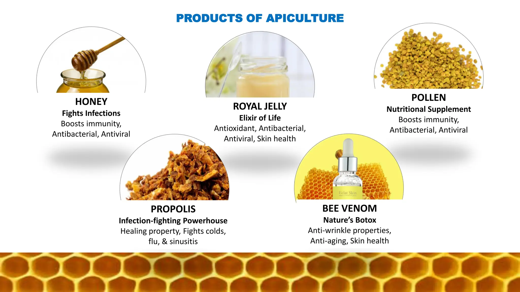 Introduction to Honeybees and Apiculture | PDF