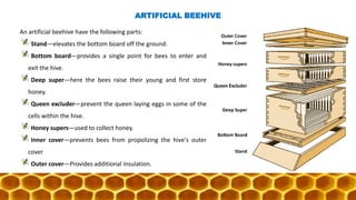 Introduction to Honeybees and Apiculture | PDF