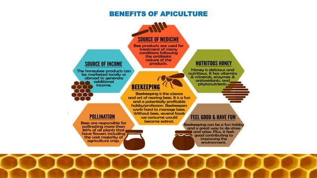 Introduction to Honeybees and Apiculture | PDF | Beekeeping | Hobbies & Interests