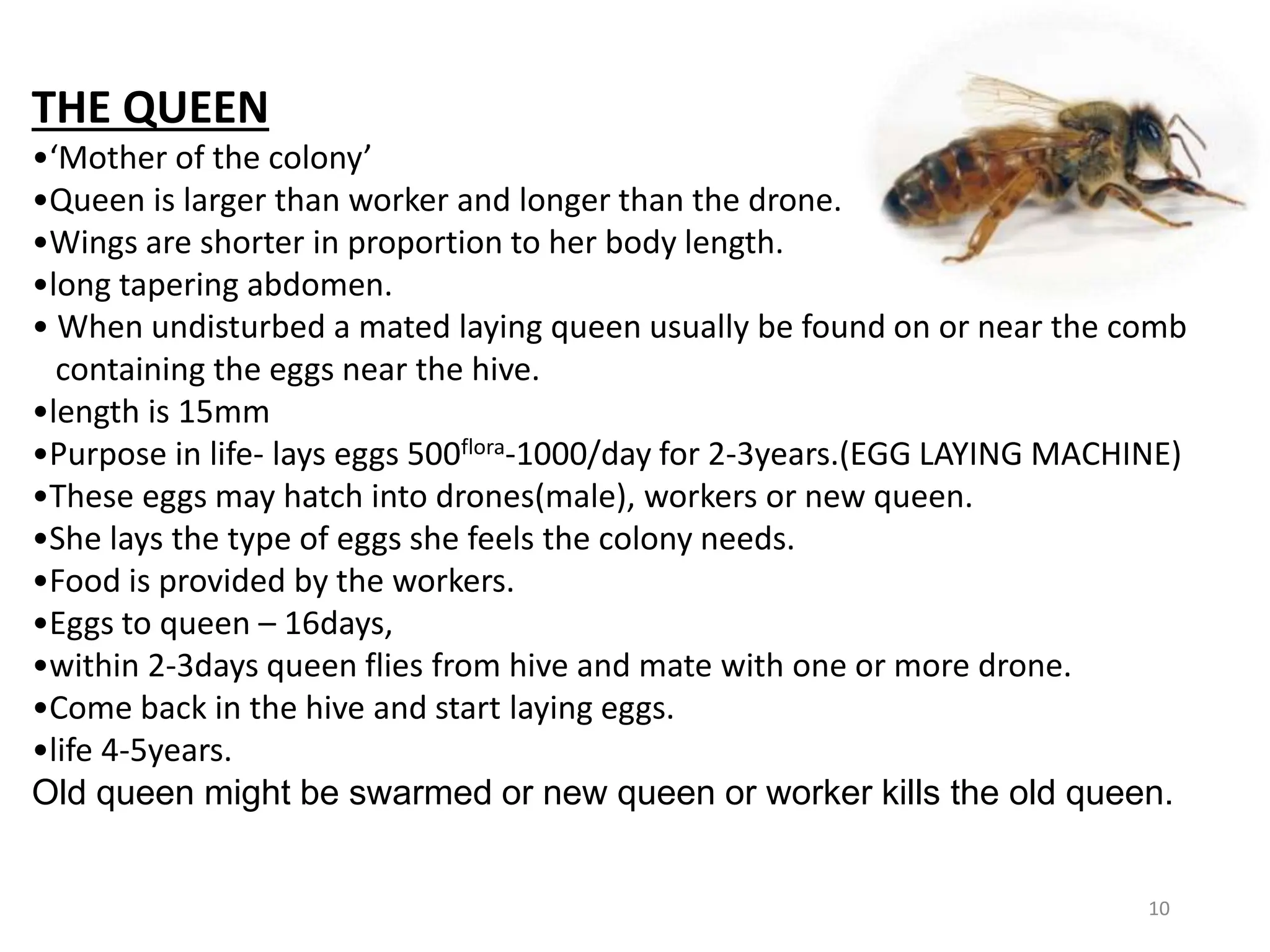 Apiculture-Honey bee rearing It is a art of rearing honey bees.pptx