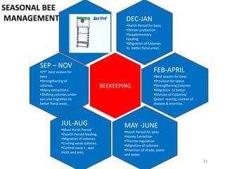 Apiculture-Honey bee rearing It is a art of rearing honey bees.pptx