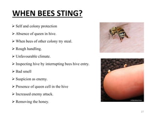 Apiculture-Honey bee rearing It is a art of rearing honey bees.pptx ...