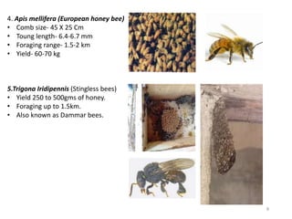 Apiculture-Honey bee rearing It is a art of rearing honey bees.pptx ...