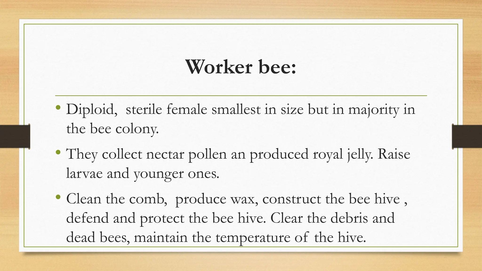 Economic Zoology ppts Apiculture honey bee.pptx