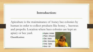 Economic Zoology ppts Apiculture honey bee.pptx